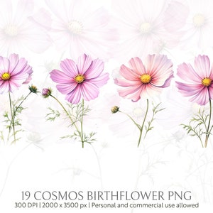 Cosmos Birthflower Clipart Bundle - 19 Watercolor Pngs - October Birth ...