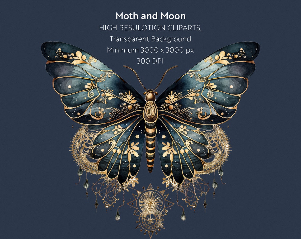 Moth and Moon Clipart Set - 21 Celestial Moth Illustrations, Moon Moth ...