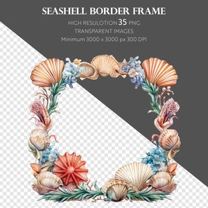 Seashell Border Frame Clipart | 35 PNG Designs for Beach Crafts ...
