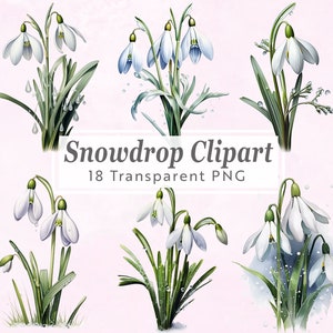 Snowdrop Birthflower Clipart - 18 PNG Bundle - January Birth Flower ...
