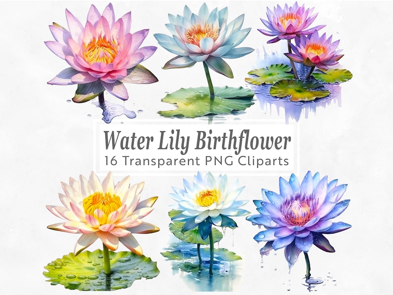 Water Lily Birth Flower Clipart 20 PNG Bundle July Birth Flower ...