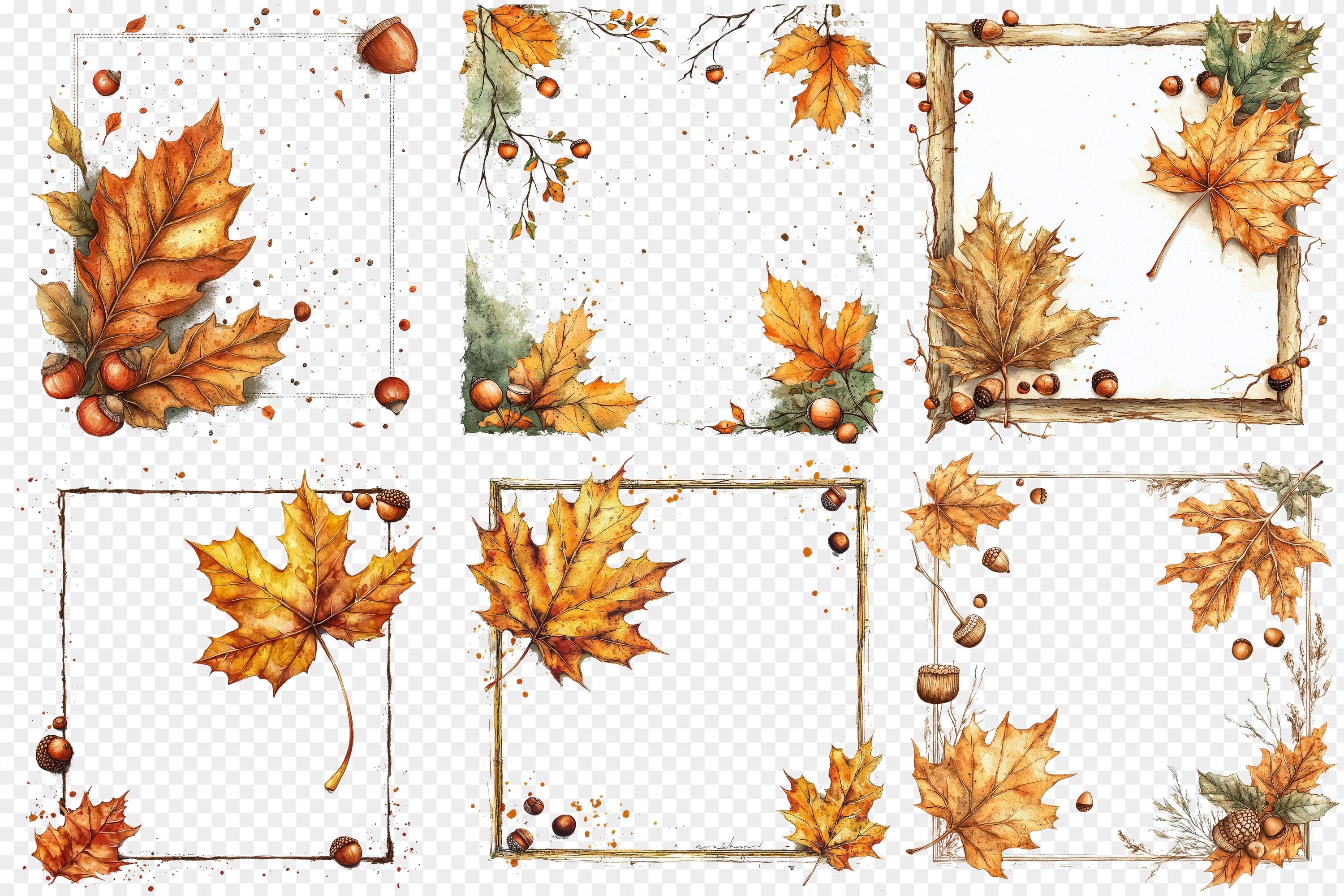 Fall Autumn Leaves Frame Clipart, 24 PNG Acorn Maple Leaf Watercolor ...