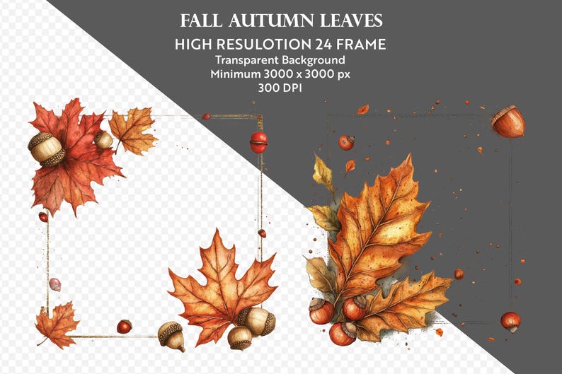 Fall Autumn Leaves Frame Clipart, 24 PNG Acorn Maple Leaf Watercolor ...