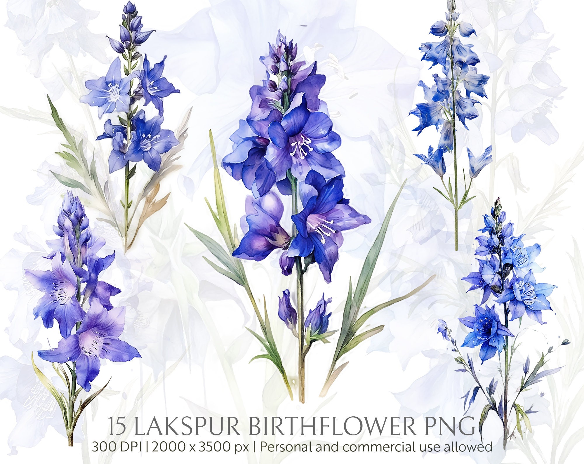 Larkspur Birthflower Clipart 29 PNG Bundle July Birth Flower Watercolor ...