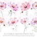 Cosmos Birthflower Clipart Bundle - 19 Watercolor Pngs - October Birth ...