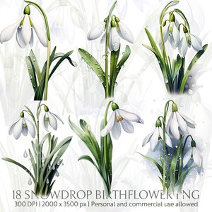Snowdrop Birthflower Clipart - 18 PNG Bundle - January Birth Flower ...