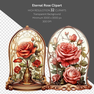 Eternal Rose Clipart Instant Download, Transparent Floral Graphic ...