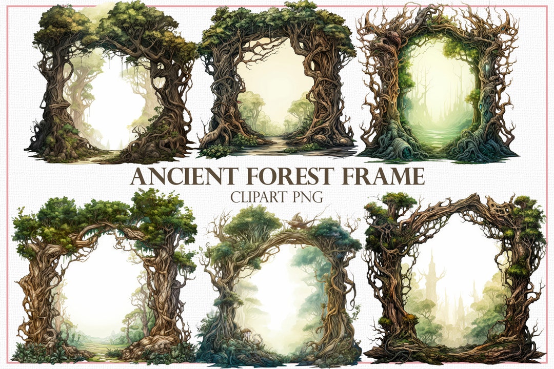 Ancient Forest Frame Clipart | 28 High-quality PNG Designs | Mystical ...
