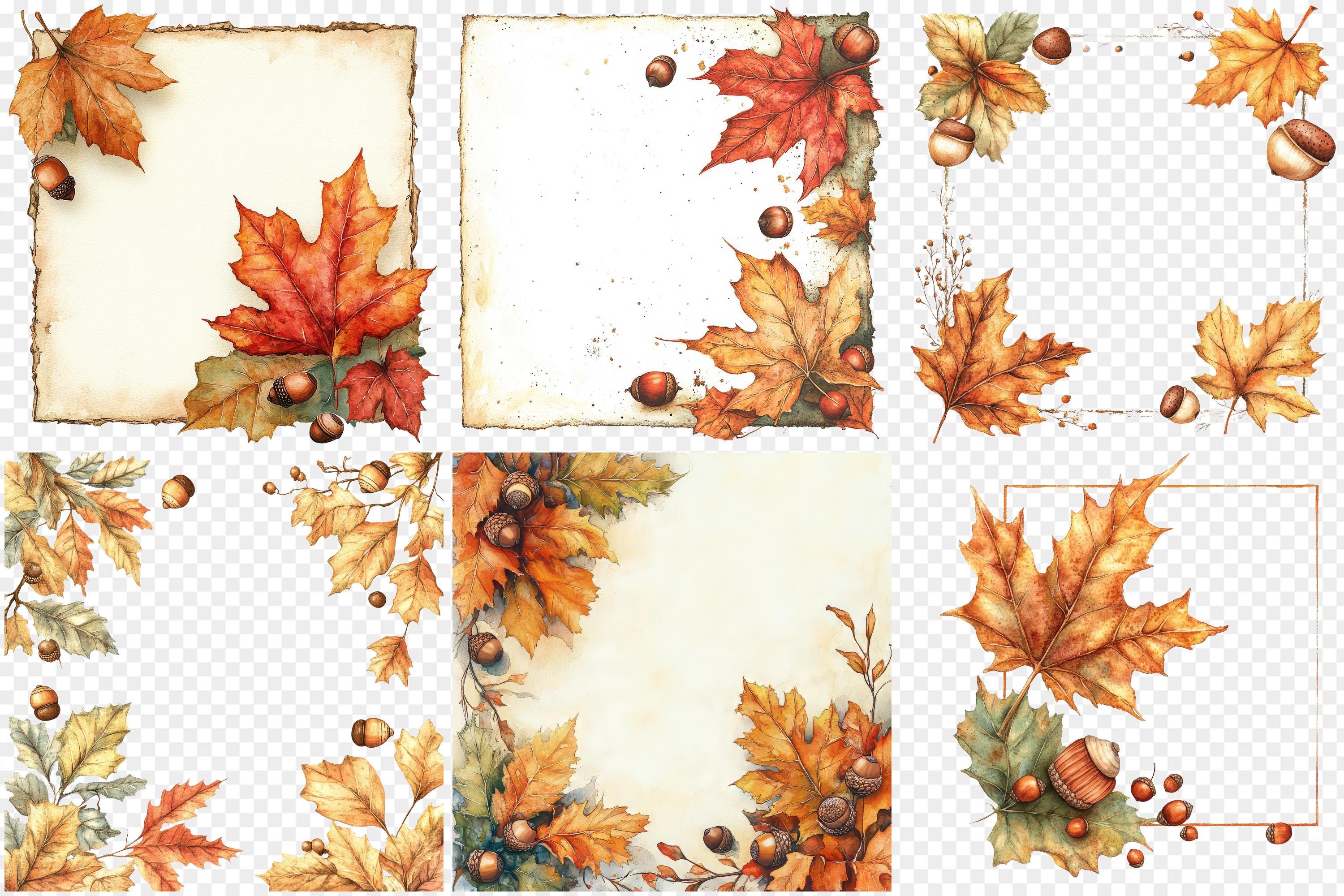 Fall Autumn Leaves Frame Clipart, 24 PNG Acorn Maple Leaf Watercolor ...