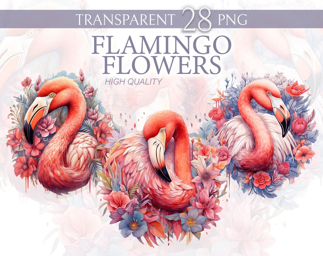 Flamingo Clipart Bundle - Digital Flamingo Art, Transparent Background ...