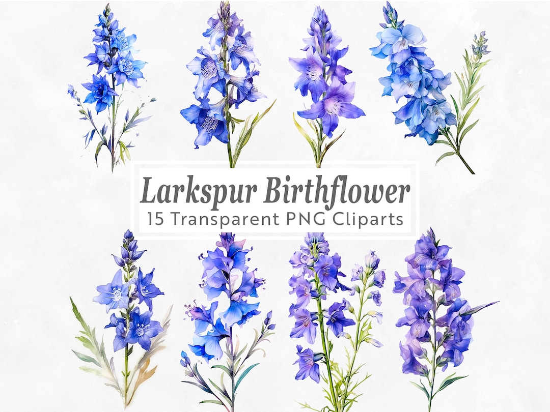 Larkspur Birthflower Clipart - 29 PNG Bundle - July Birth Flower ...