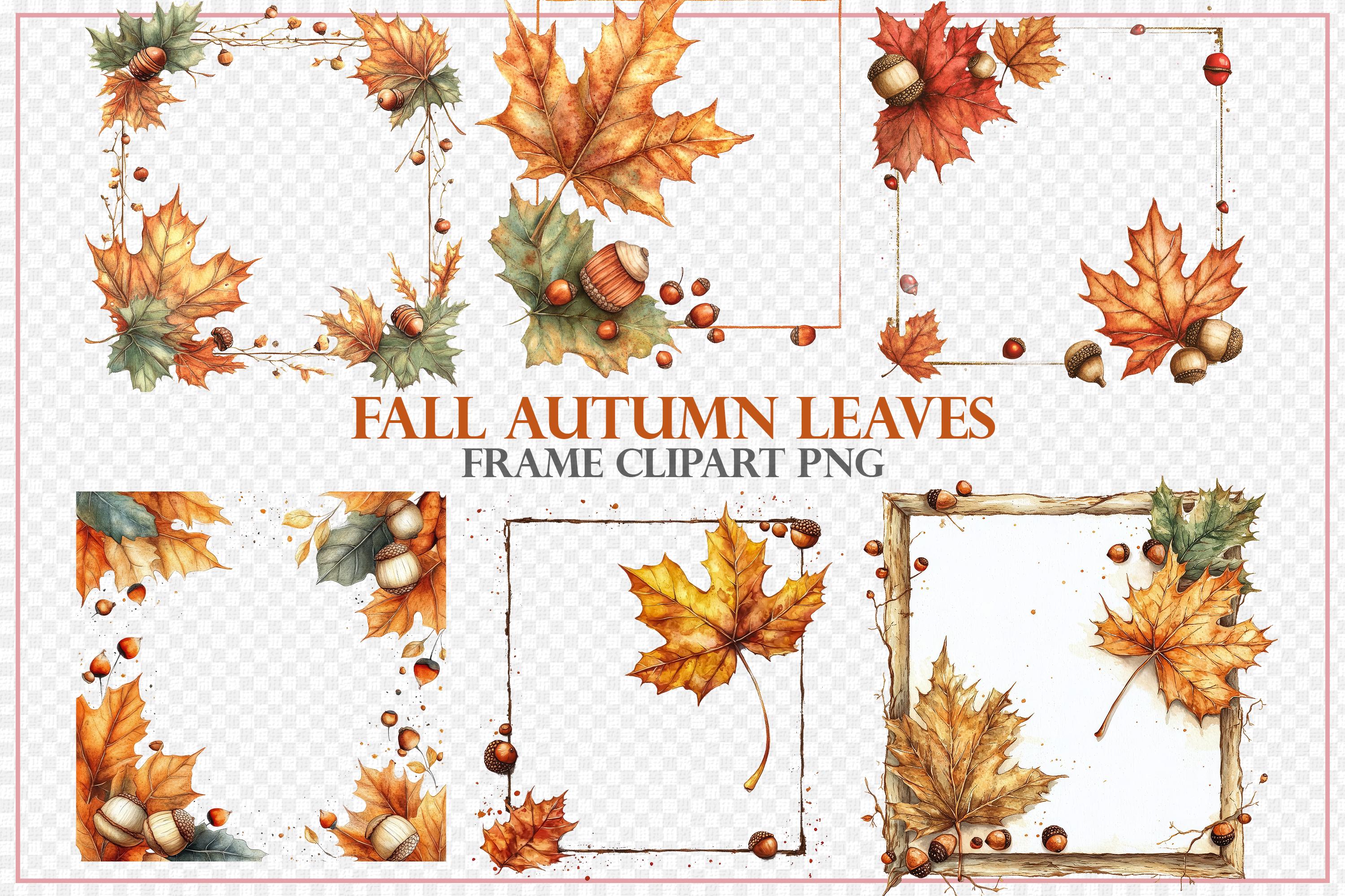 Fall Autumn Leaves Frame Clipart, 24 PNG Acorn Maple Leaf Watercolor ...