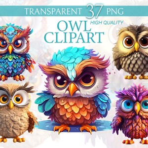 Owl Clipart Bundle - Digital Owl Art, Transparent Background, Instant ...