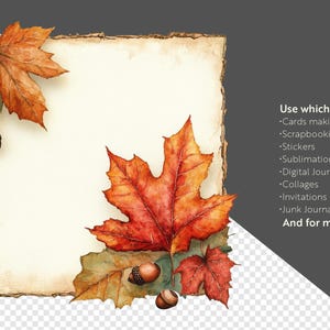 Fall Autumn Leaves Frame Clipart, 24 PNG Acorn Maple Leaf Watercolor ...