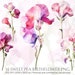 Sweet Pea Birth Flower Clipart - 20 PNG Bundle - April Birth Flower ...