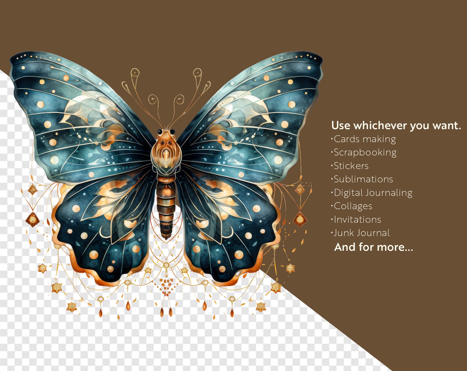 Constellation Moth Clipart, Celestial Night Insect Graphic, Mystical ...