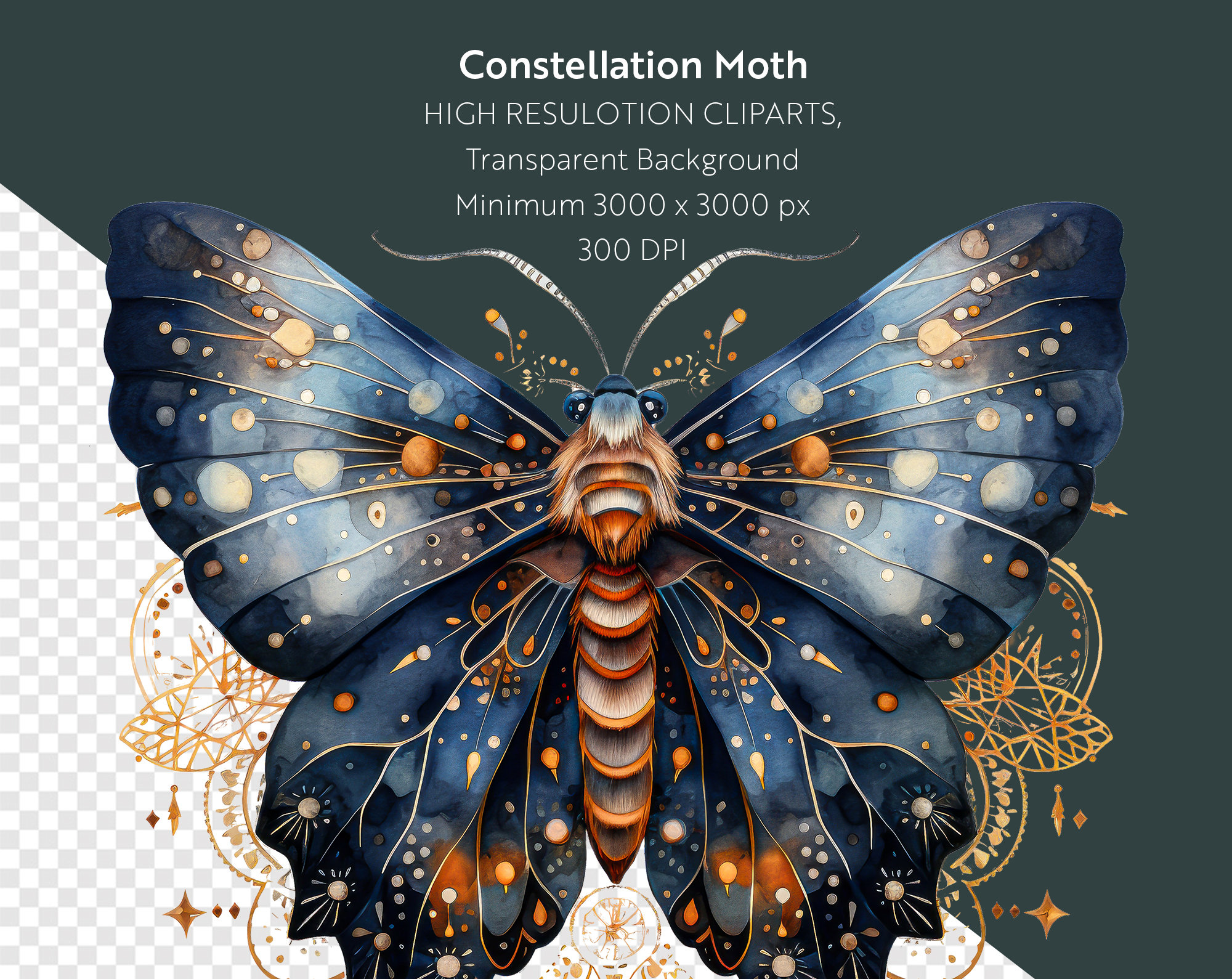 Constellation Moth Clipart, Celestial Night Insect Graphic, Mystical Moths With Starry Pattern ...