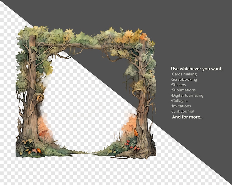 Forest Frame Watercolor Clipart Bundle 24 Nature Inspired Pngs Woodland ...