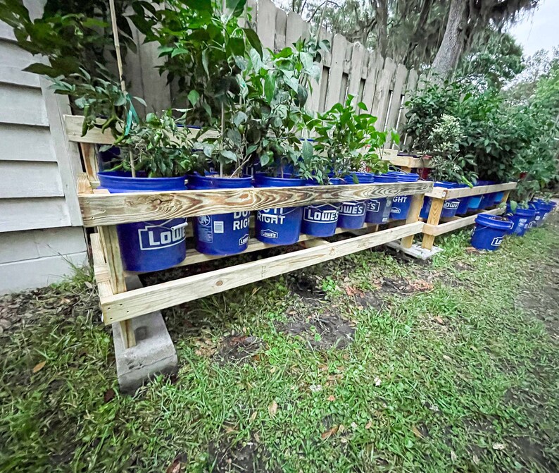 3 Plan Value Bundle for 5 Gallon Bucket Plant Racks - Etsy