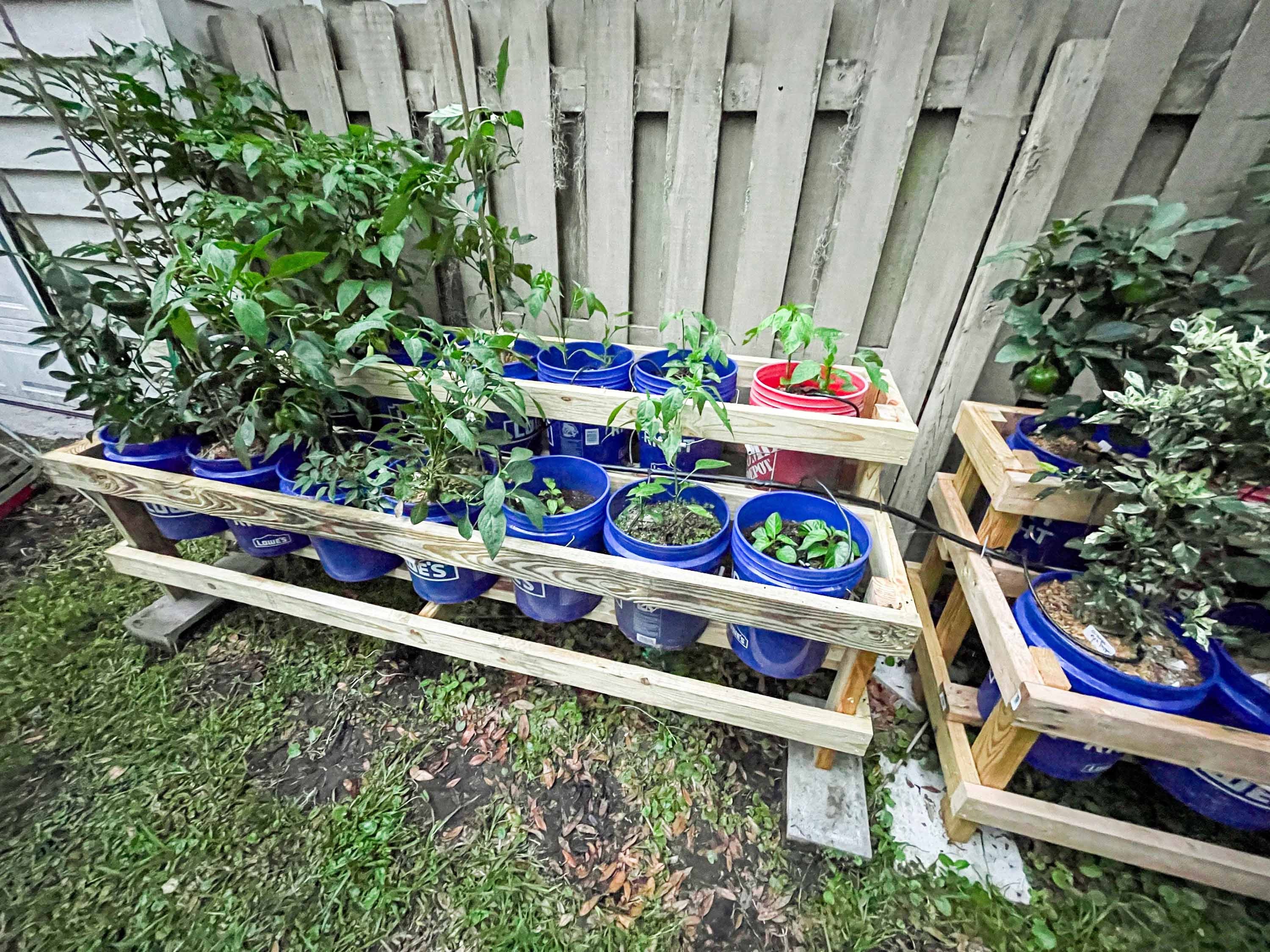 3 Plan Value Bundle for 5 Gallon Bucket Plant Racks - Etsy