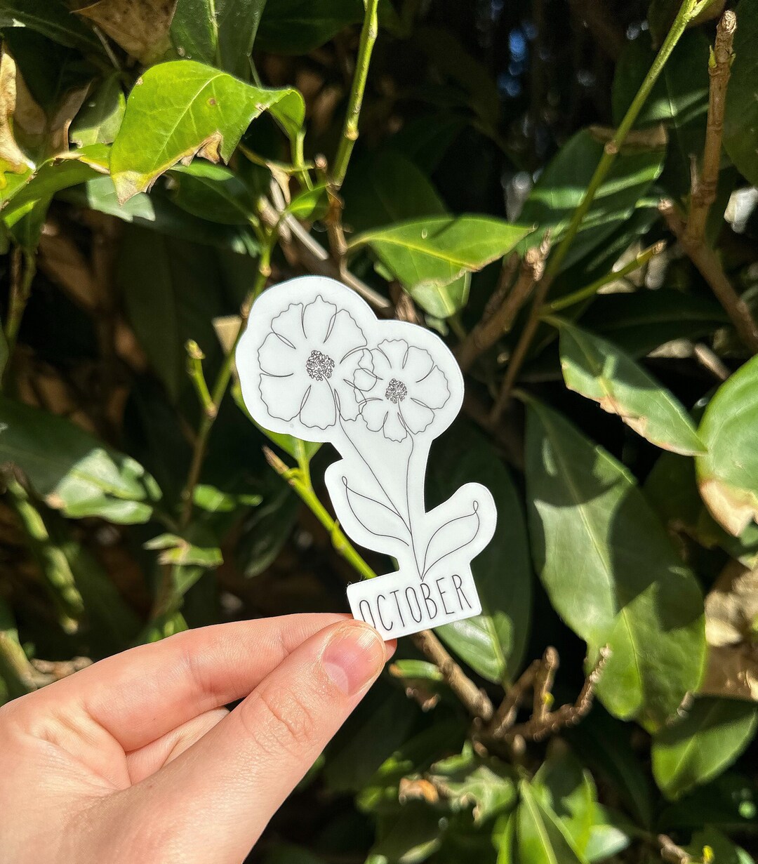 Cosmo October Birth Flower Single Line Drawing Sticker Waterbottle ...