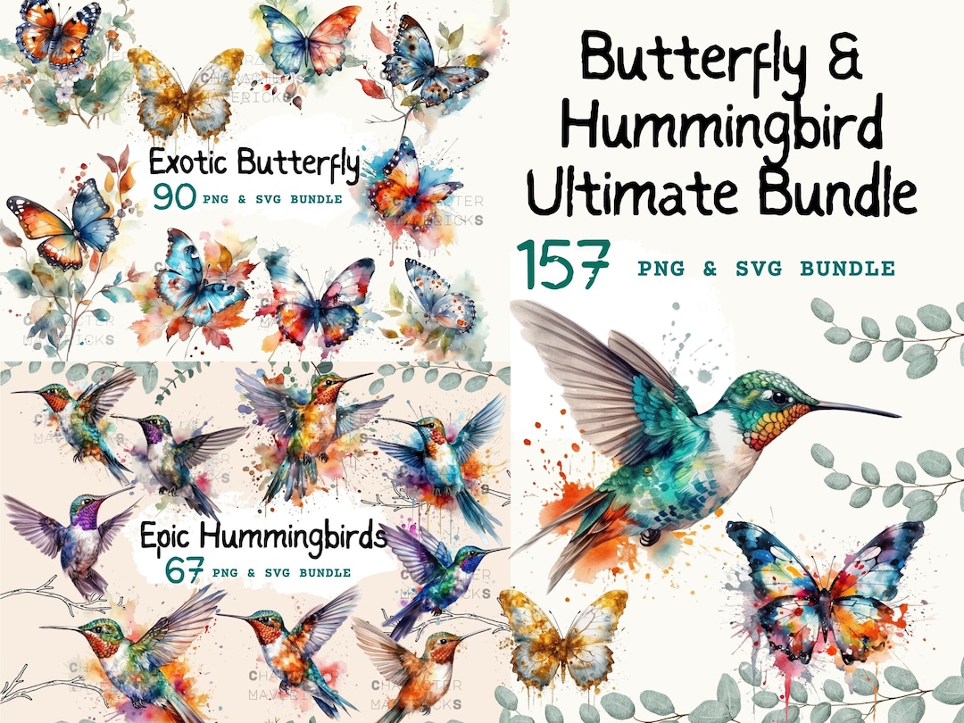 Hummingbirds and Butterfly Watercolor Clipart Bundle Nursery - Etsy