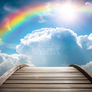 Rainbow Bridge Pet Memorial Digital Backdrop Set Pet Portrait ...