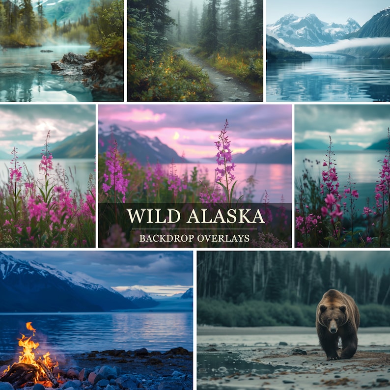 Alaska Wilderness Digital Backdrops Soft Focus Portrait Backgrounds ...