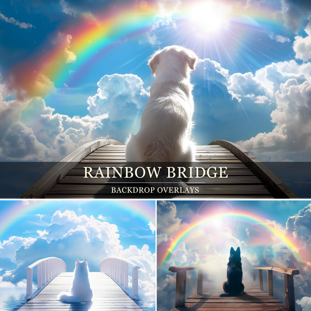 Rainbow Bridge Pet Memorial Digital Backdrop Set Pet Portrait ...