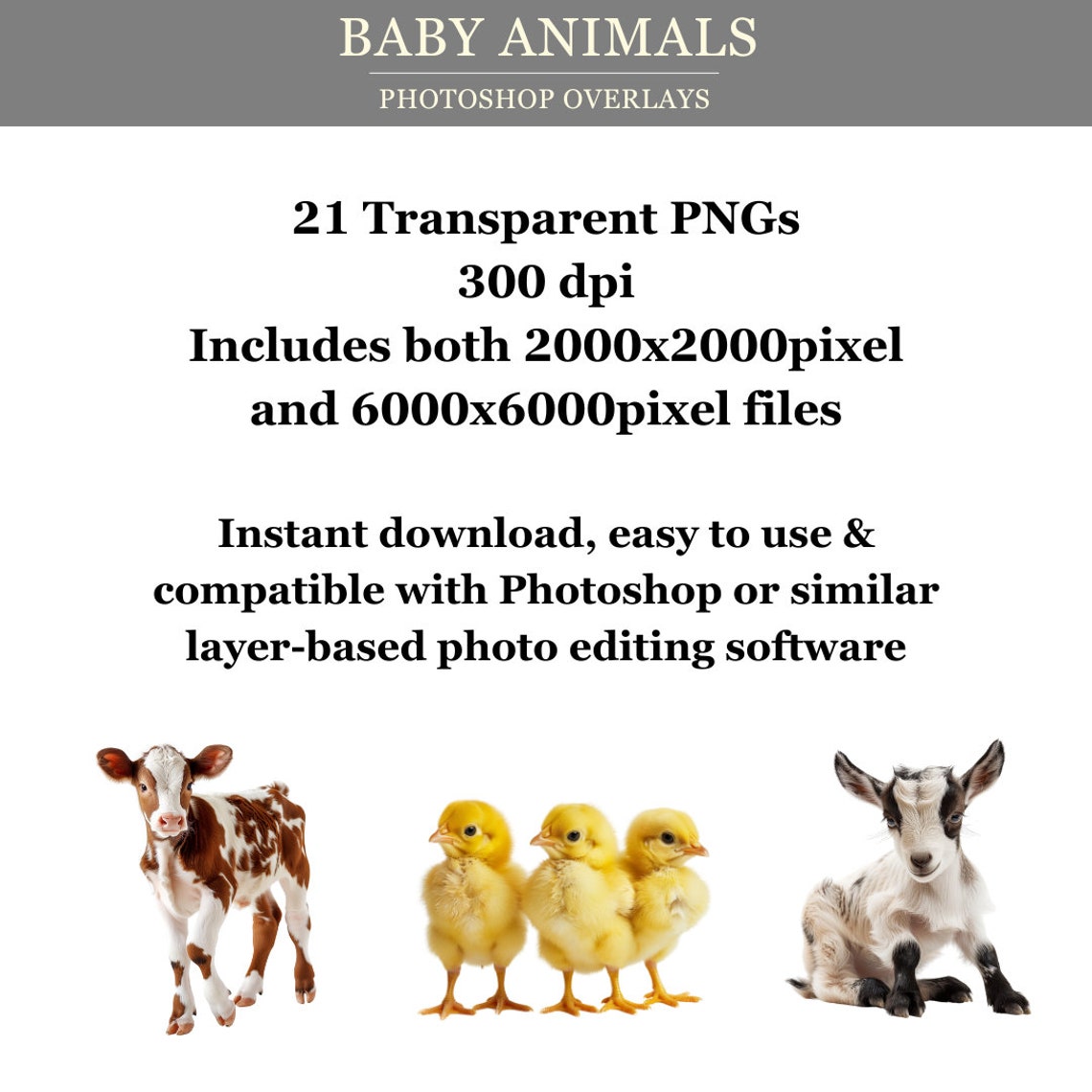 Baby Farm Animals Overlays Transparent PNG Photoshop Overlays Easter ...