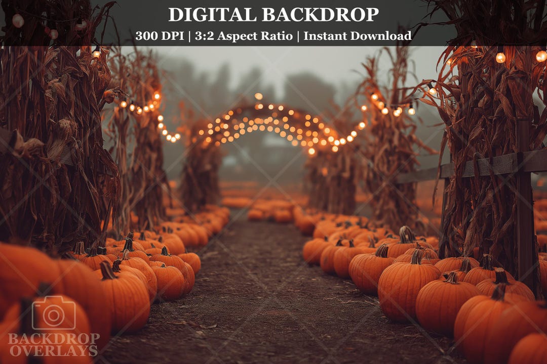 Pumpkin Patch Digital Backdrop Foggy Autumn Farm Path Background for ...