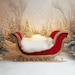 Winter Sleigh Christmas Digital Backdrop Holiday Portrait Photography ...