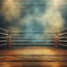 Boxing Ring Digital Backdrop Sports Poster Background Professional ...
