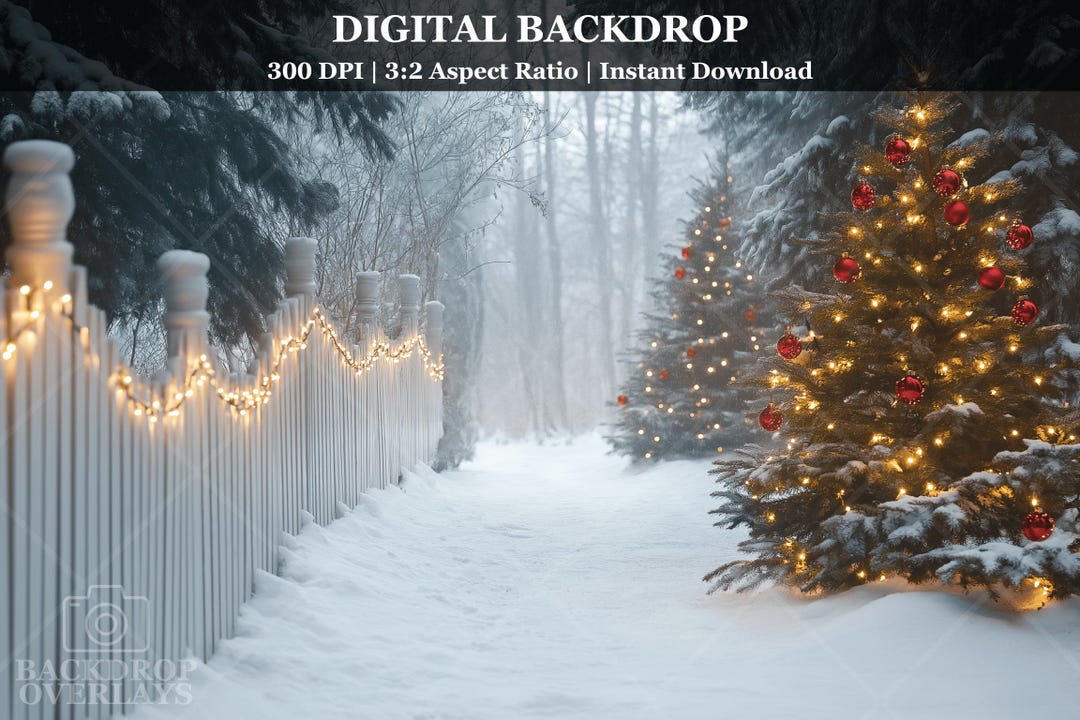 Snowy Christmas Path Digital Backdrop Photography Background Holiday ...