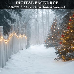 Snowy Christmas Path Digital Backdrop Photography Background Holiday ...