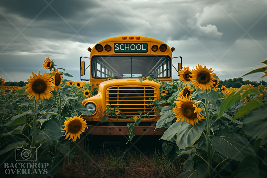 School Bus Sunflower Field Digital Backdrop Rustic Back to School ...