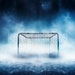 Hockey Digital Backdrop Ice Rink Digital Background Goalie Sports ...