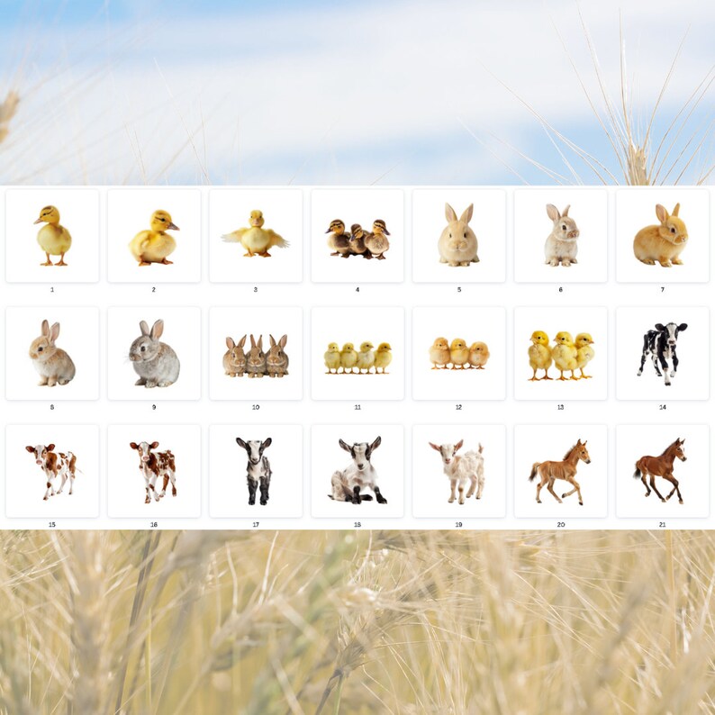 Baby Farm Animals Overlays Transparent PNG Photoshop Overlays Easter ...