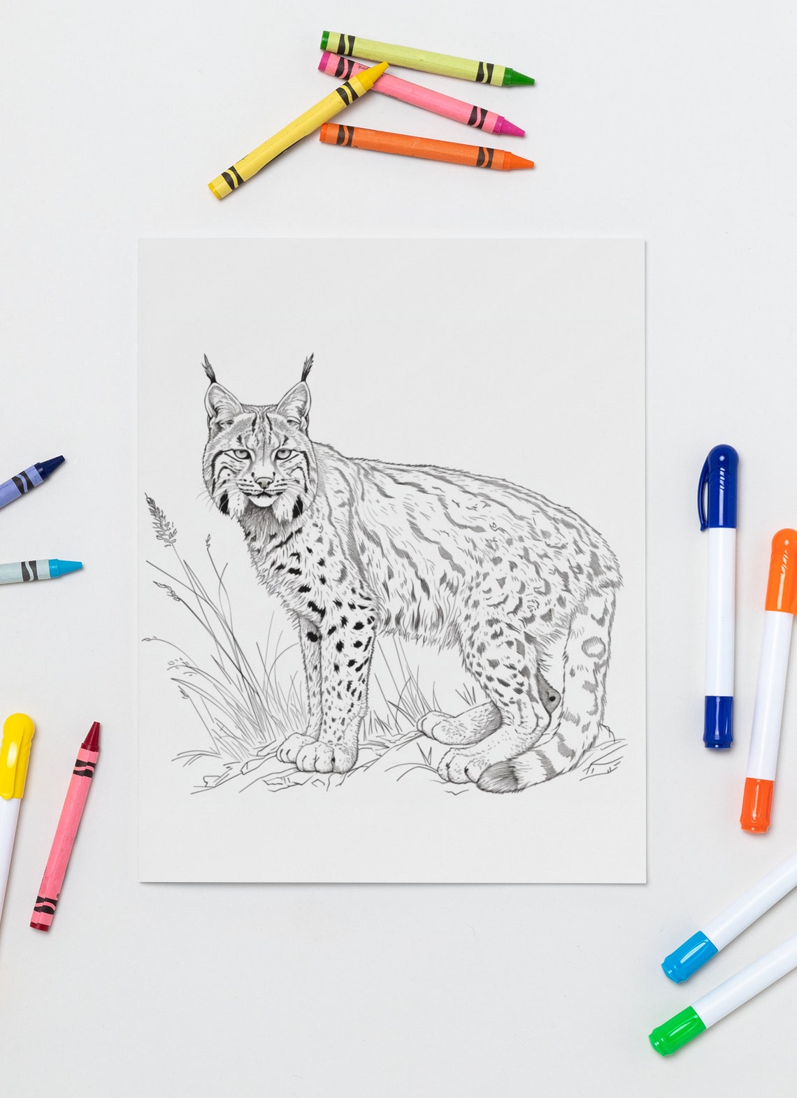 Majestic Bobcat Coloring Pages - Instant Download - US Letter & A4 ...