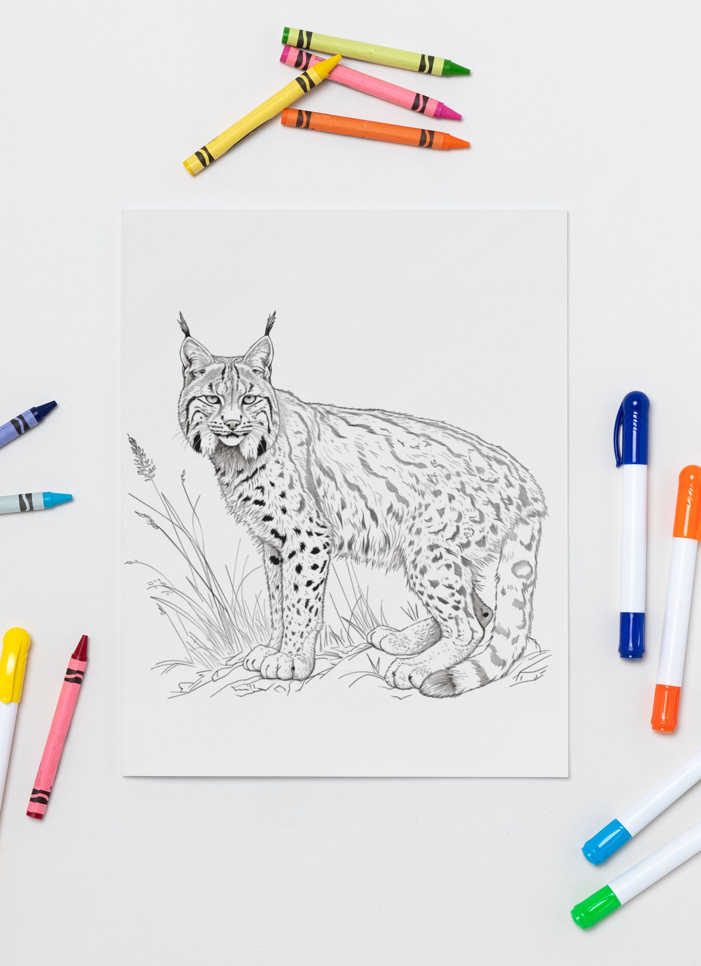 Majestic Bobcat Coloring Pages - Instant Download - US Letter & A4 ...