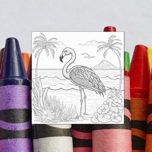 Flamingo Coloring Pages: Set of 3 Printable PDF Illustrations - Etsy