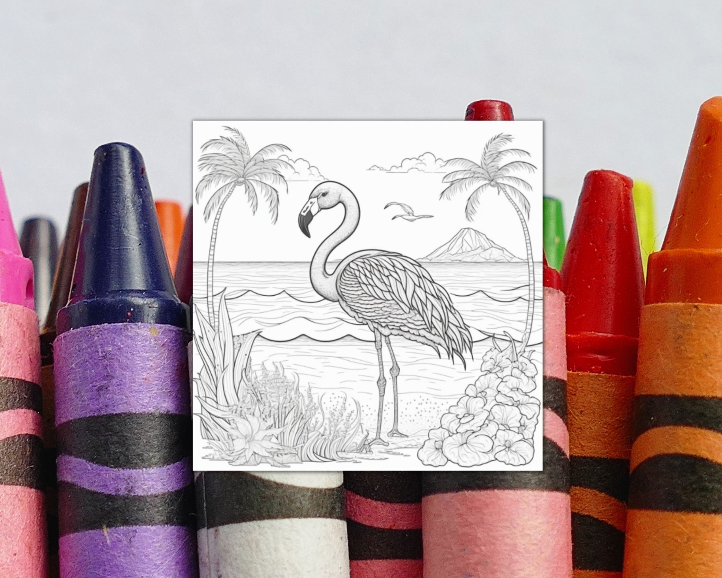Flamingo Coloring Pages: Set of 3 Printable PDF Illustrations - Etsy