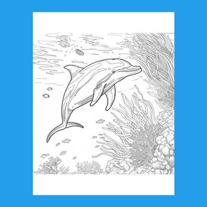 Detailed Dolphin Coloring Pages: Marine Life Art (digital Download) - Etsy