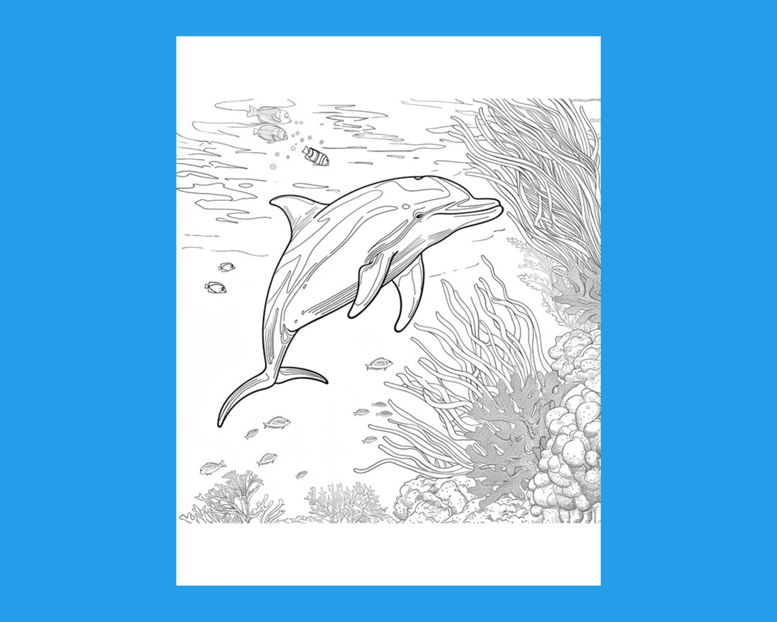 Detailed Dolphin Coloring Pages: Marine Life Art (digital Download) - Etsy