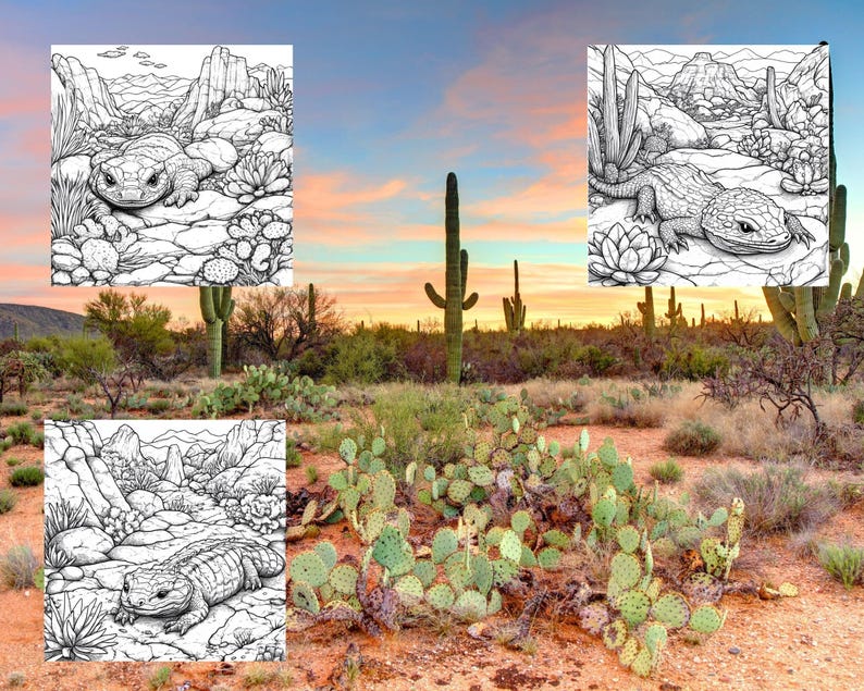 Gila Monster Coloring Pages for Kids | Desert Wildlife Digital Download ...