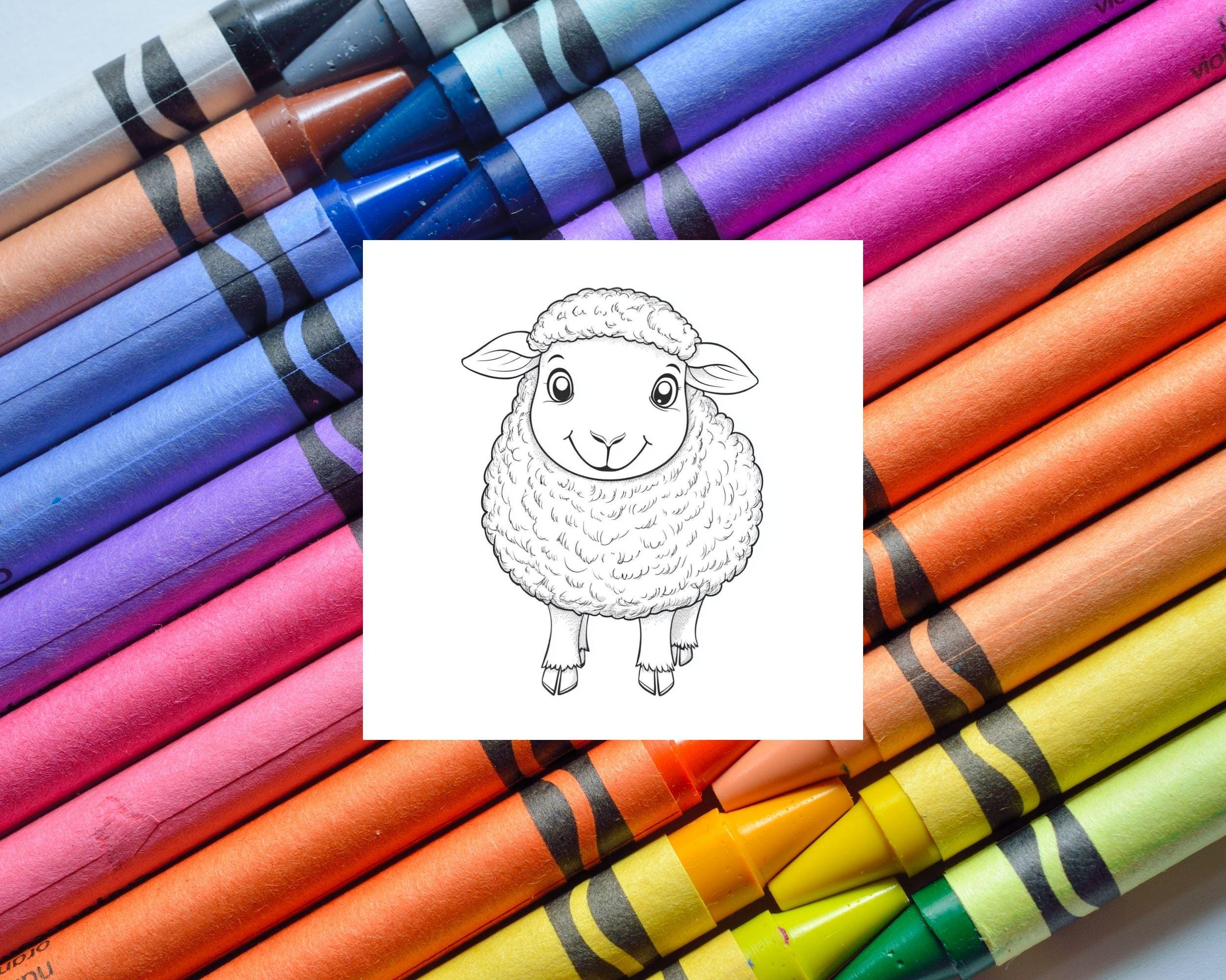 Adorable Sheep Coloring Pages for Preschoolers | Printable Farm Animal ...