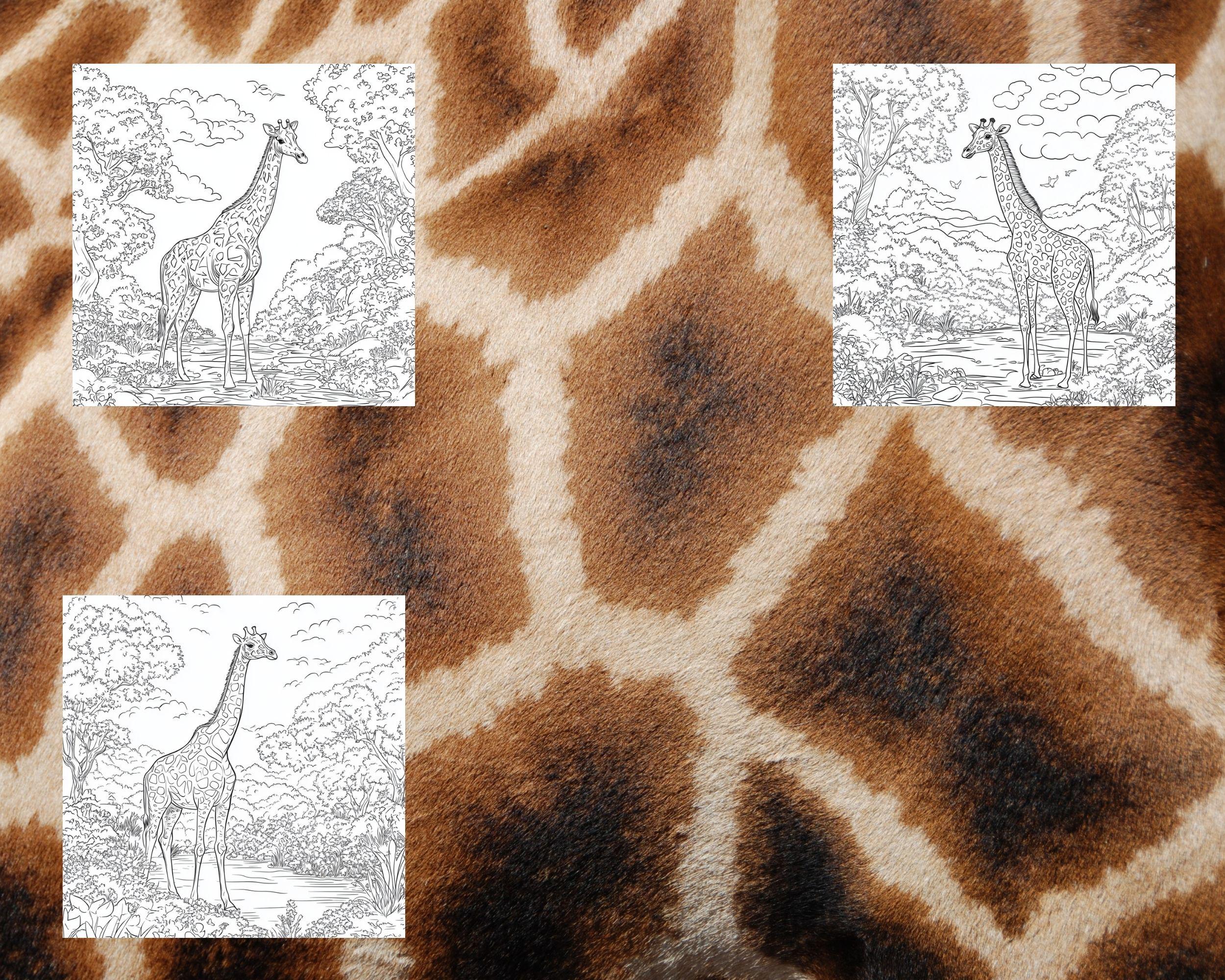 Giraffe Coloring Pages for Kids & Adults | Printable Safari Animal ...