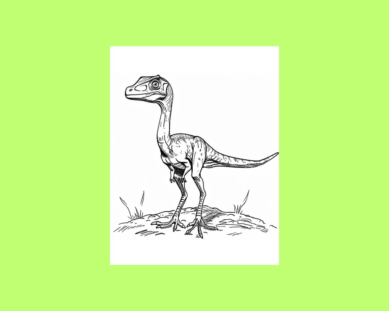 Compsognathus Coloring Pages - Adorable Dinosaur Art, Digital Download ...
