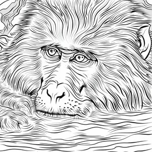 Macaque Coloring Pages - Digital Download, Detailed Wildlife Art ...