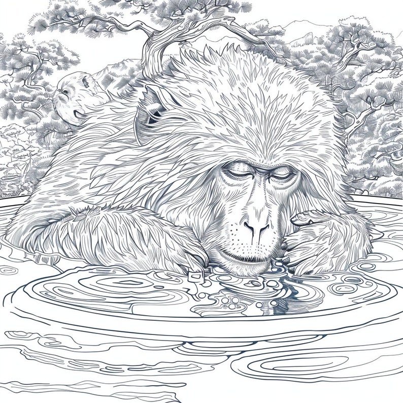 Macaque Coloring Pages - Digital Download, Detailed Wildlife Art ...